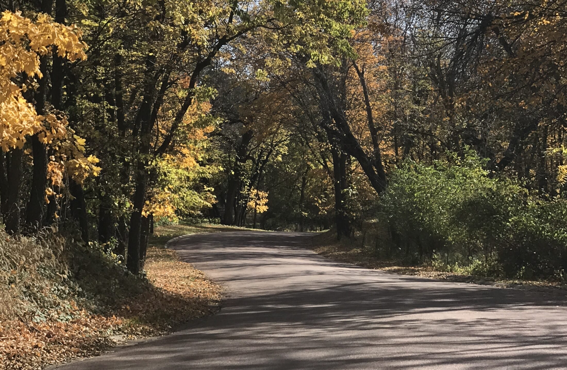 Discover the Magic of Fall in Okoboji | Okoboji Realty